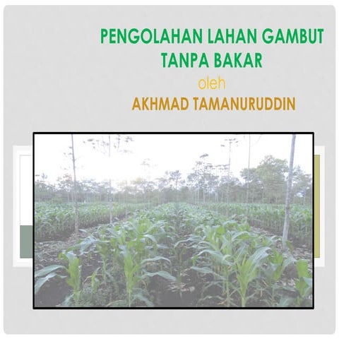Pengelolaan Lahan Gambut Tanpa Bakar | PDF