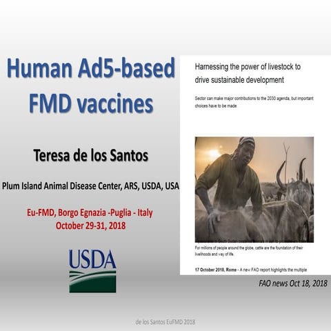 Human Ad-5 based FMD vaccines (T. de Los Santos) | PDF