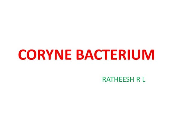 Corynebacterium diptheriae | PPT