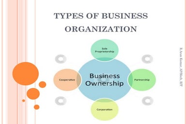 Types Of Business Ownership Chart