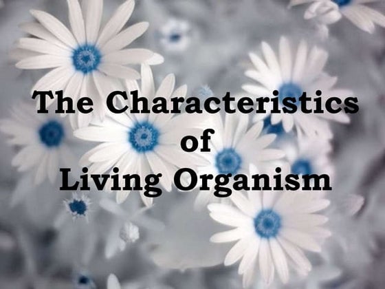 Characteristics of Living Organism | PPT