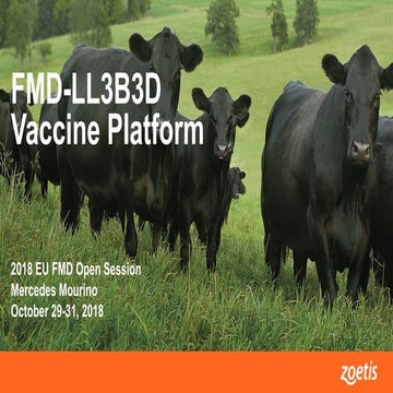 A. Dekker - Replacement of FMD vaccine potency tests: What are the ...
