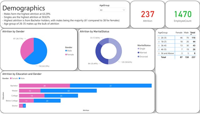 Data Queries And Visualisation Basics Project Presentation Ppt