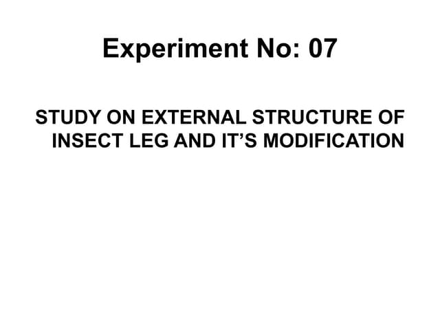 Insect Leg: Structure and Modifications | PPTX