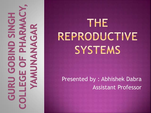 Female Reproductive system Slideshare | PPT
