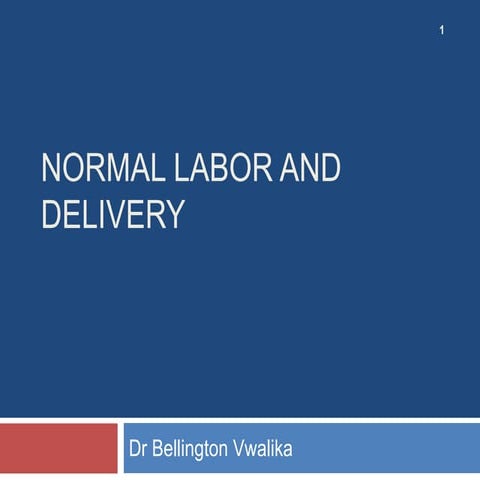 7. Normal-Labor-and-Delivery 07.12.14 lecture.ppt | Pregnancy ...