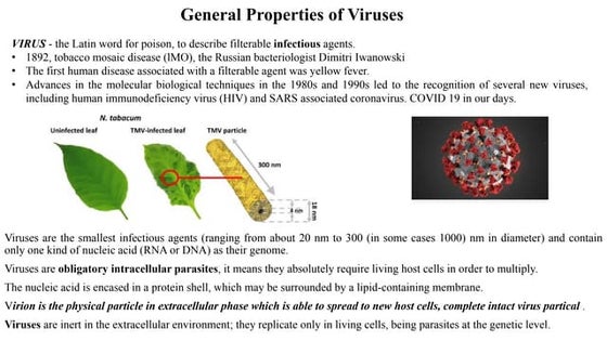 Classification of plant viruses | PDF | Biological Sciences | Science