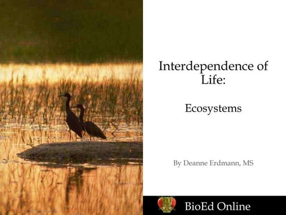 2.4 biomes zonation and succession notes | PDF