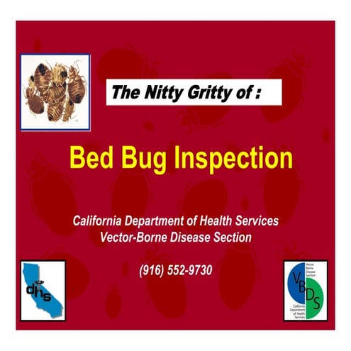 1 Bed Bugs 101 | PPTX