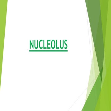 Nucleus - Structure and function of nucleolus | PPTX