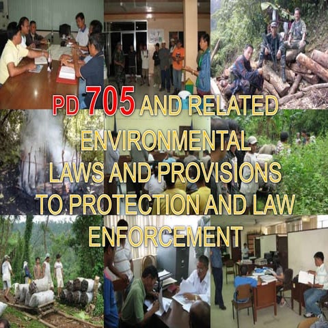 7. PD 705 & RELEVANT FORESTRY LAWS 11-27-29-13.ppt