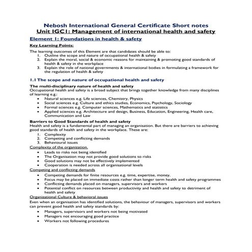 IG2 Risk Assessment.for any copany .docx