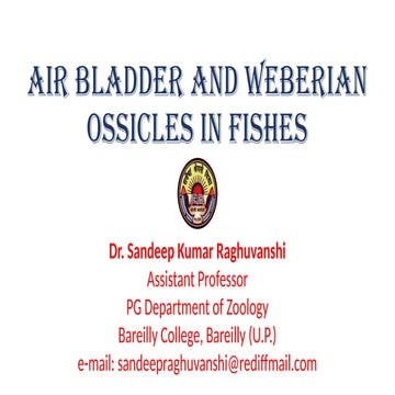 AIR BLADDER-FUNCTIONS.pptx