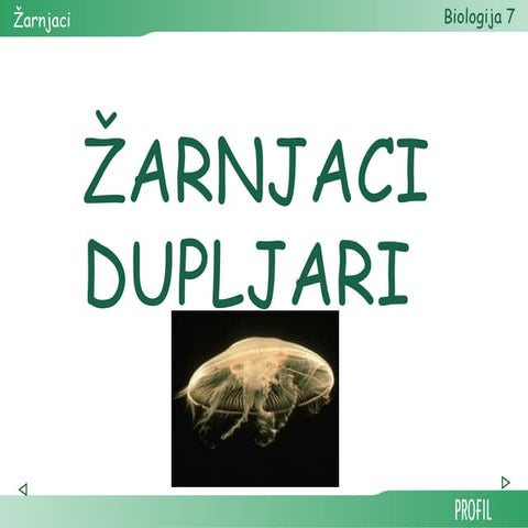 7.ŽARNJACI-DUPLJARI prezentacija o zarnjacima -dupljarima | PPT