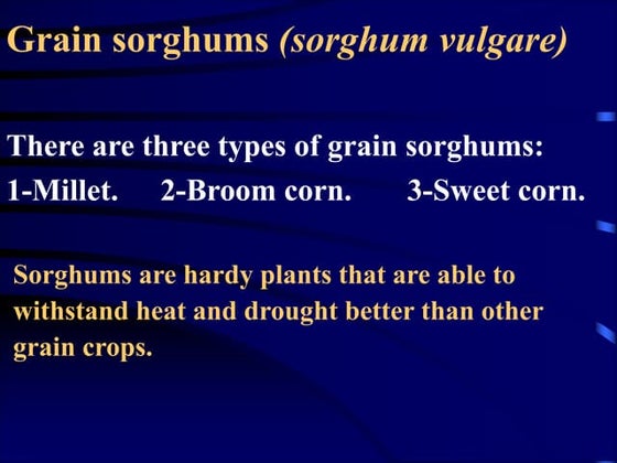 Introduction of Roughages and concentrates | PPT
