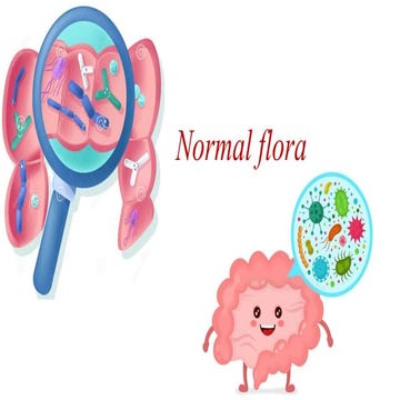 Normal flora, Special type of bacteria,Useful bacteria | PPT