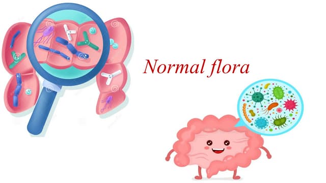 Microbiology of normal Flora of human body | PPT
