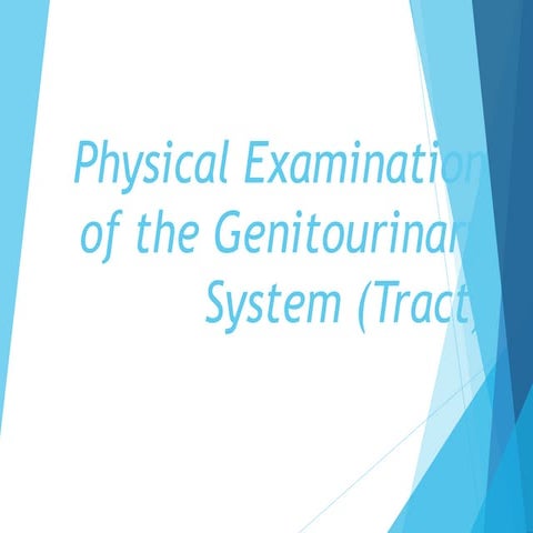 7.Genitourinary System PE.pptmgd gd kgdhdkhd hdk gdkgd | PPT