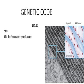 7.GENETIC CODE in detail about genetic code | PPT