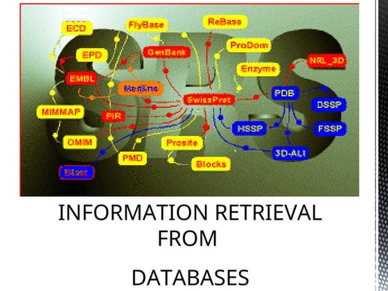 Entrez databases | PPTX | Search | Internet