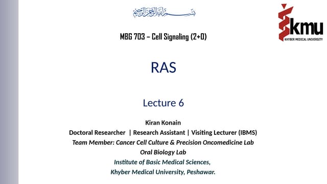 MAPK -Ras pathway | PPTX
