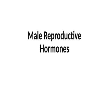 7 Male Reproductive Hormones [autosaved] Pptx