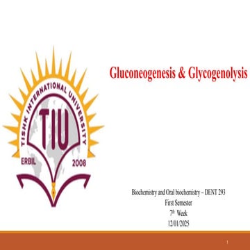 Gluconeogenesis- Steps, Regulation and clinical significance | PPT