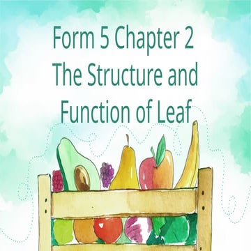 7. KSSM F5 C2 The Structure and Function of Leaf 2.4 - 2.5.pptx