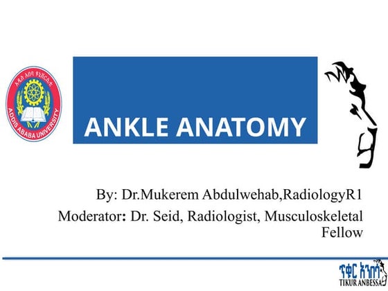 Ankle joint Anatomy | PPTX