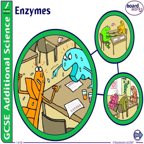 7. Enzymes v1.0.ppt boardworks powerpoint | PPT