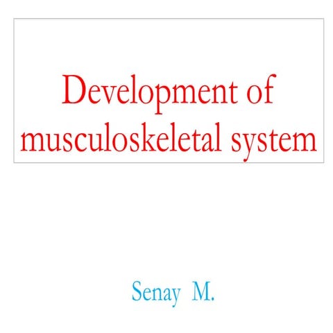 7. Development of Musculoskeletal System (1).pptx
