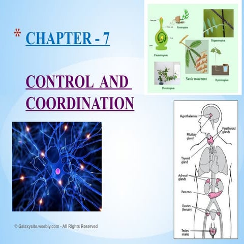 7. control and coordination science class 10 chapter ppt.pptx