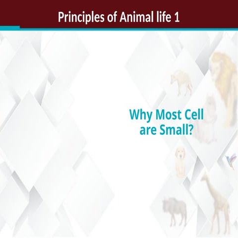 7. why most cell are small in living things(1).pptx