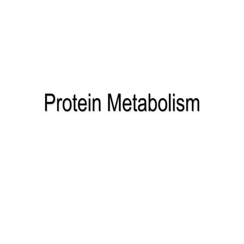7. Protein Metabolism and Urea Cycle.pdf