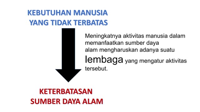 PPT Peran lembaga sosial dalam pemanfgaatan SDA dan SDM.pptx