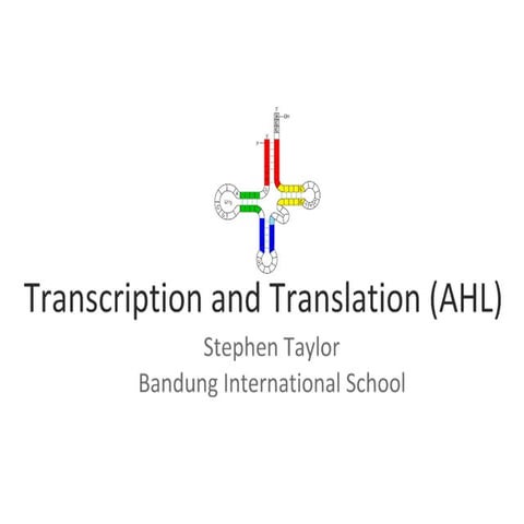 Protein Synthesis: 7.3 & 7.4 Transcription and Translation AHL (IB) | PDF