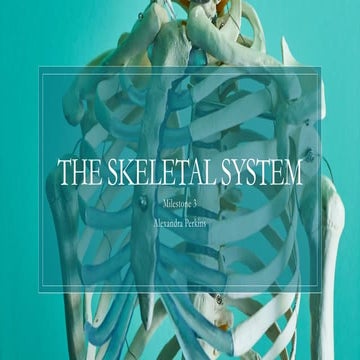 Anatomy and Physiology: The Skeletal System | PPTX