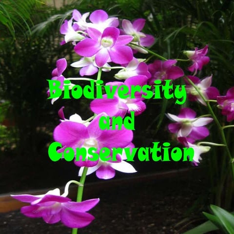 7 6. biodiversity and conservation | PPT