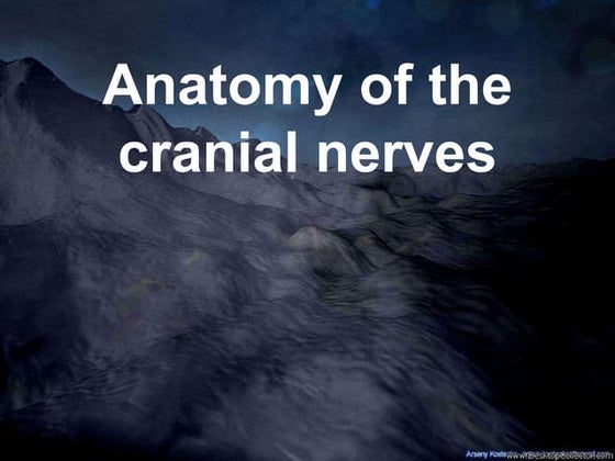 Anatomy viva questions and one liners with answers Question bank. | DOCX