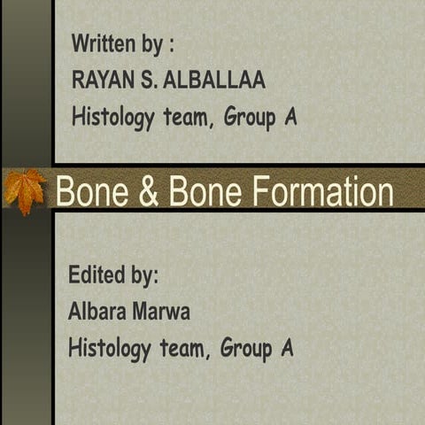 7-Bone & Bone Formation.ppt