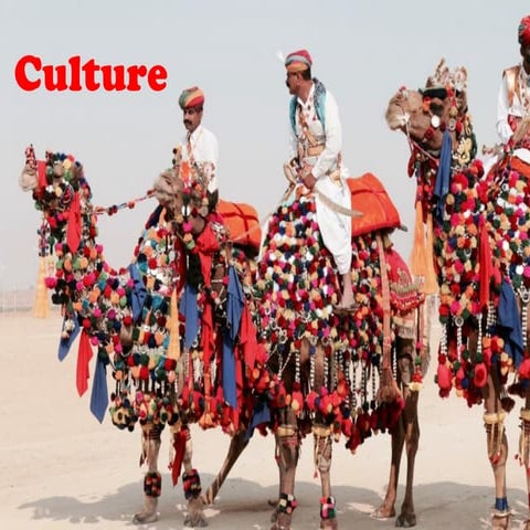 7 Elements Of Culture | PPT