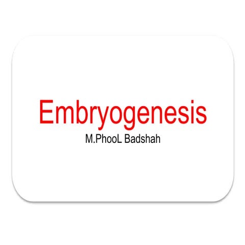7- Embryogenesis.pptx