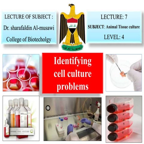 identifying cell culture problems lecture 7 | PPTX