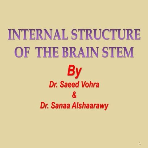 7-Internal Structures of Brainstem.pdfpp | PDF