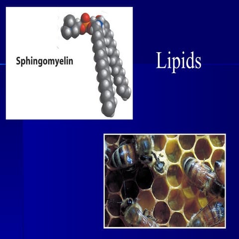 7. lipids | PPT | Chemistry | Science