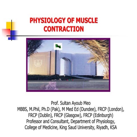 7-Muscle Contraction and cell made muscle .pdf