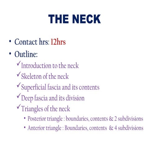 Neck Levels.. a presentation of the various Neck Levels | PPTX