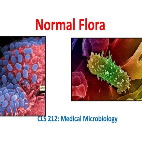 7-Normal_Flora_0.pptx