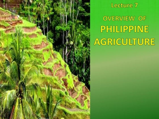 The Profile of the Filipino Farmer | PPT