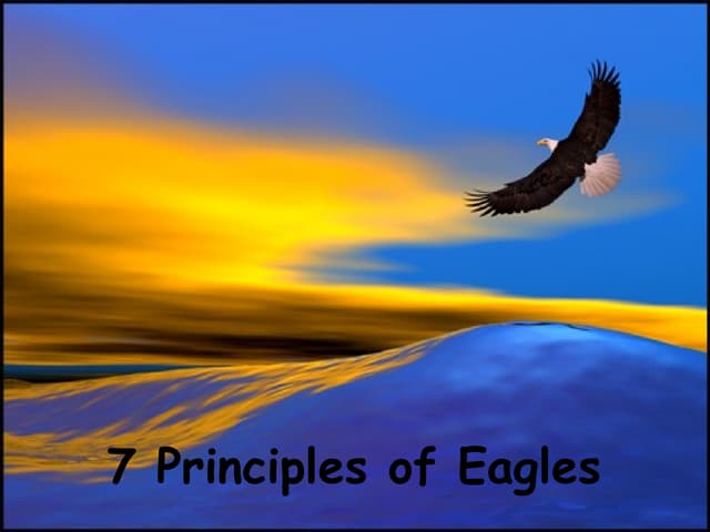 Leadership lesson from eagles | PPT